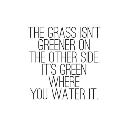 Where The Green Grass Grows | FrankBorelli.com / Author Frank Borelli